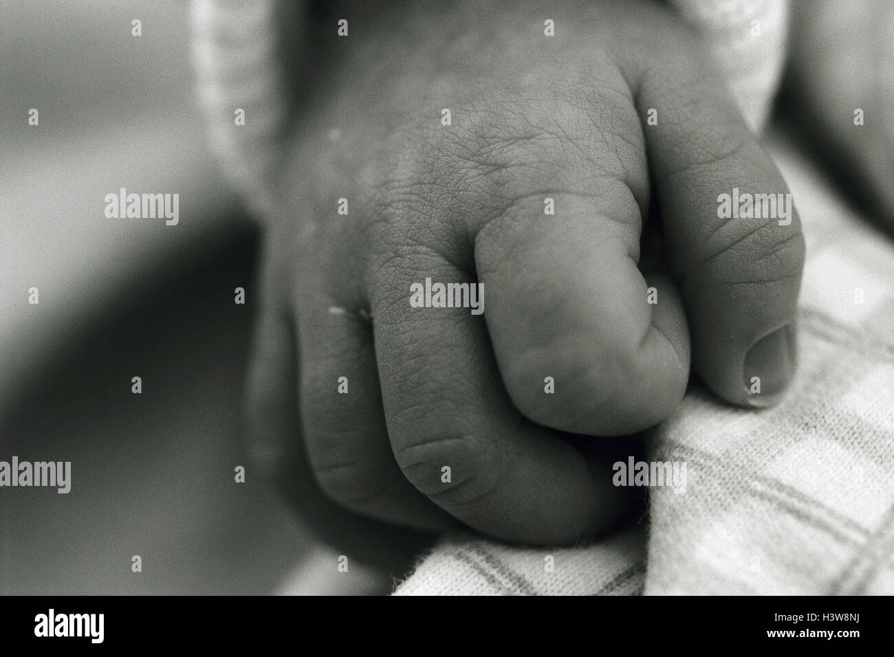 Baby, hand, close up, b/w, child, infant, baby hand, finger, small ...