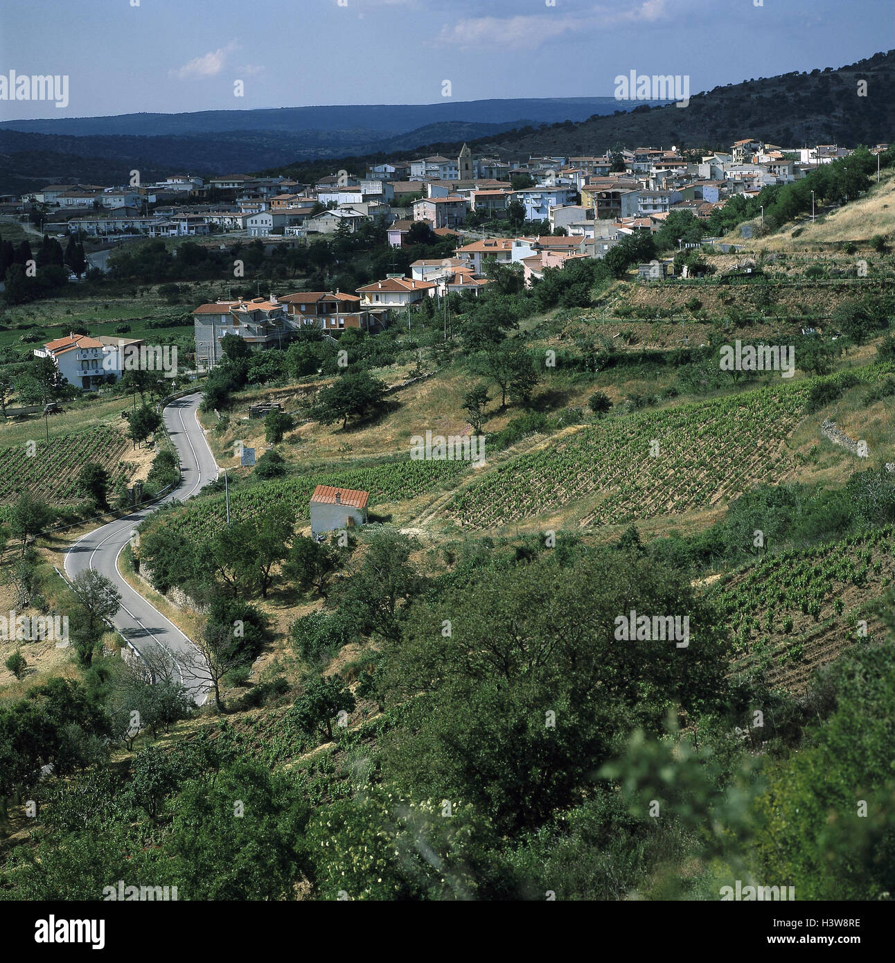 Mamoiada sardinia vineyard hi-res stock photography and images - Alamy