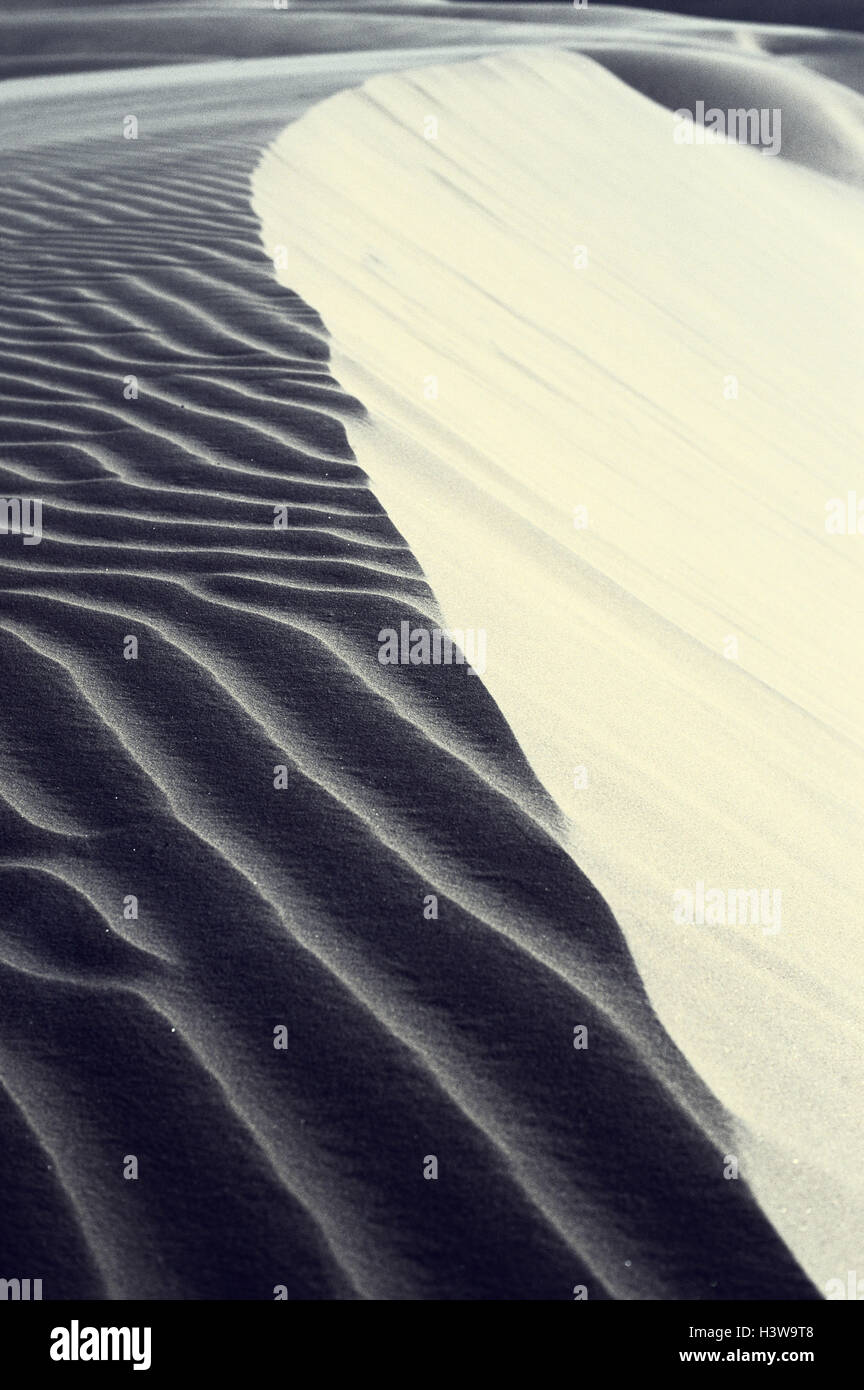 Venezuela, Coro, desert, Sand dune, detail, South America, wild scenery ...