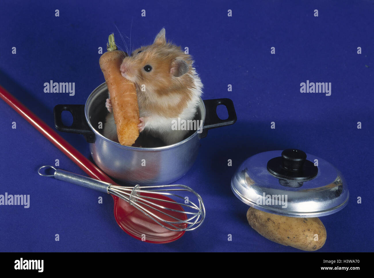Fried Hamsters