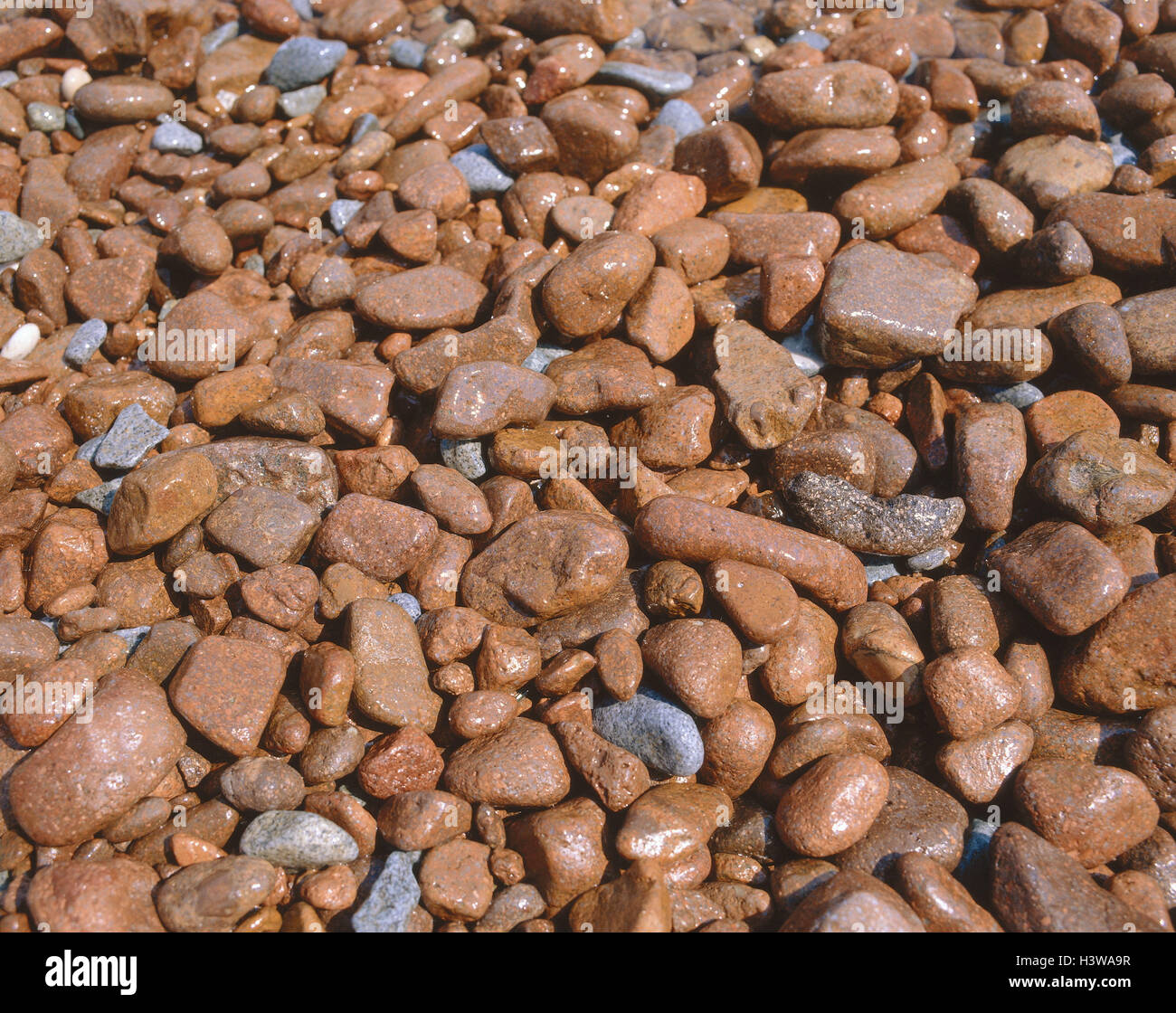 Pebbles, reddish, stones, size, forms, differently, background, product ...