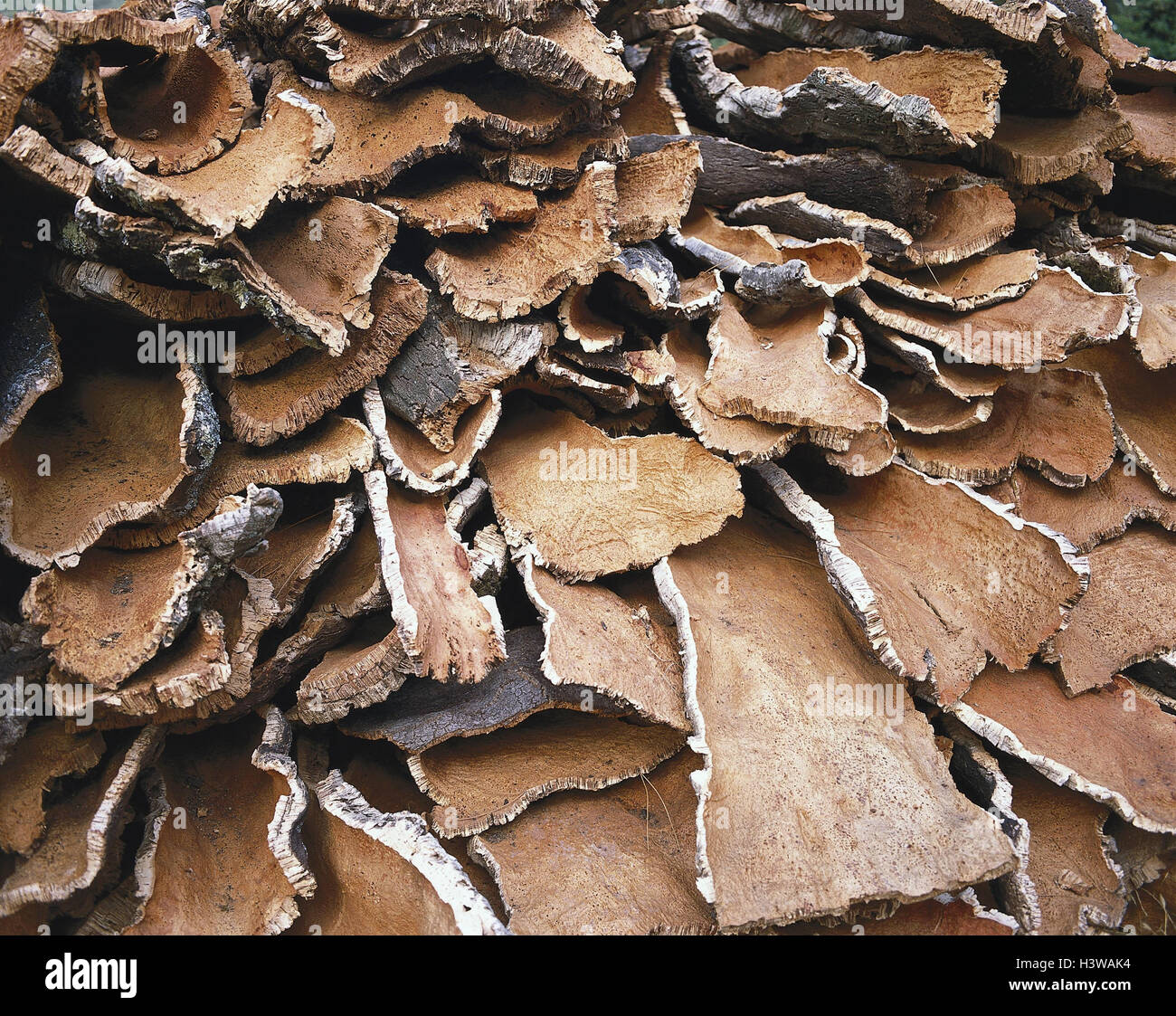 Cork oak, Quercus suber, bark, batch, stacked, production, economy ...