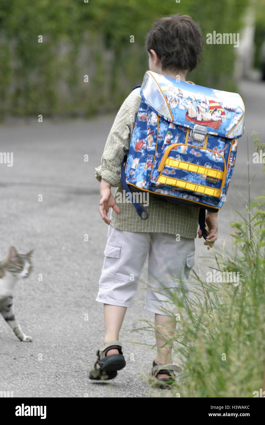 School boy, roadside, cat, back view child, 7 years, schoolboys ...