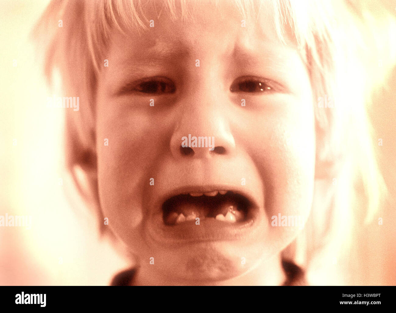 Cuttlefish weep hi-res stock photography and images - Alamy