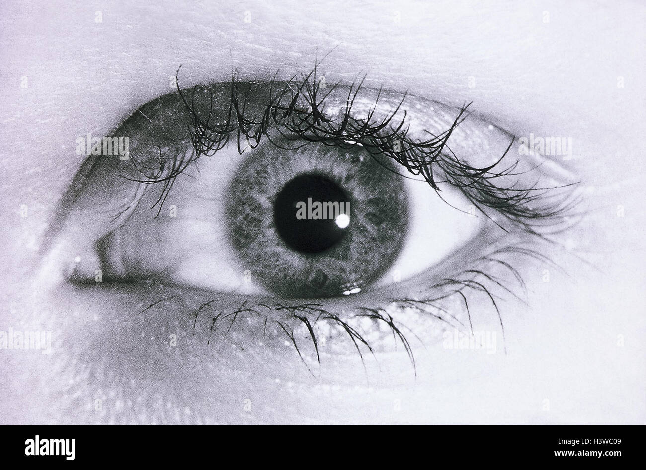 Woman, look, detail, eye, b/w, view, sense, perception, see, eyelashes ...