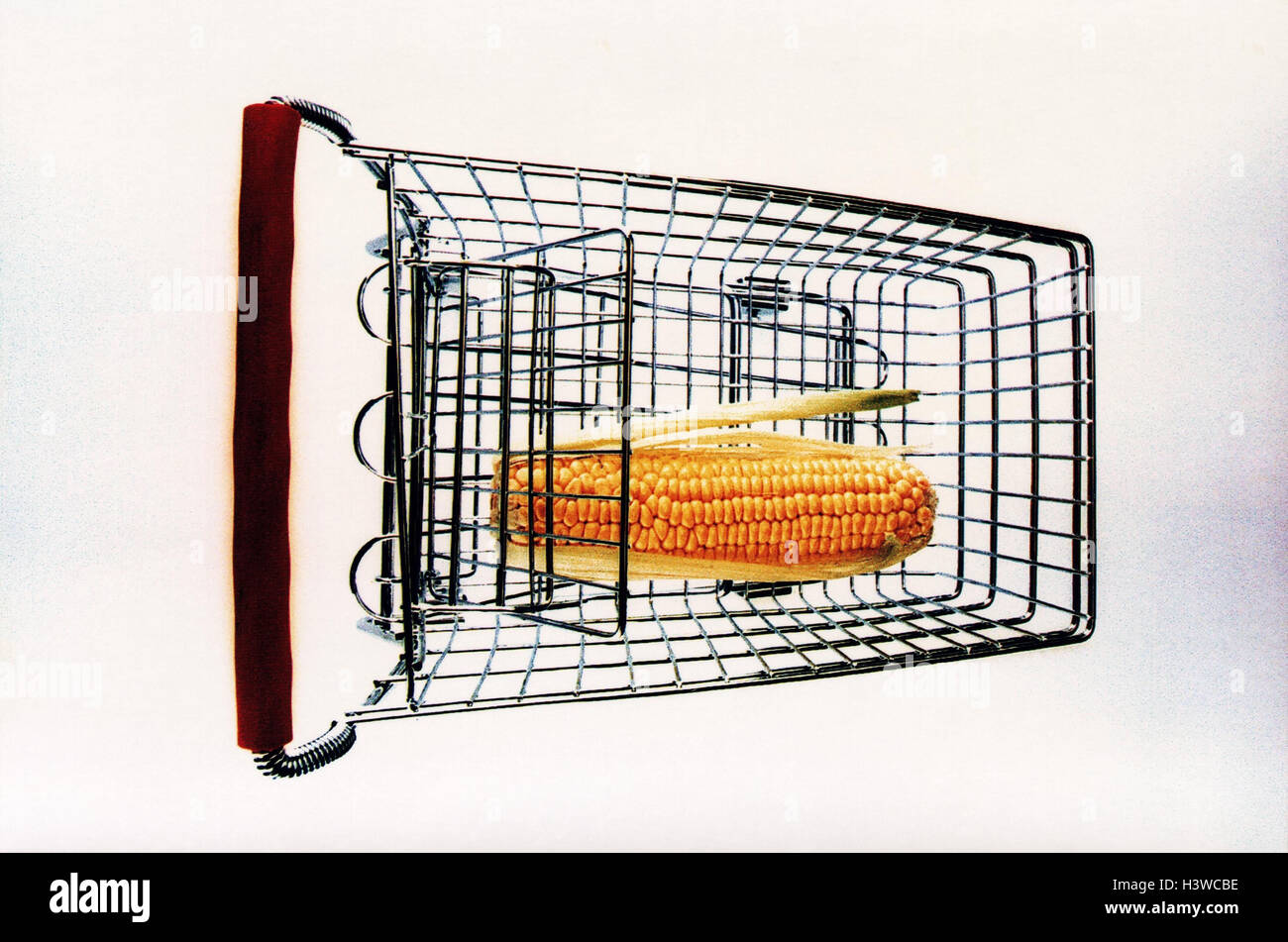 Shopping carts, corncobs, outsize, inside, studio, cut out, vegetables ...