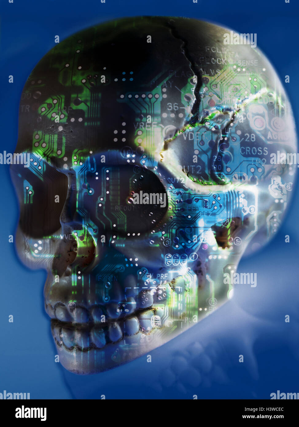 Icon, artificial intelligence, KI, computer, knowledge, memory, data ...