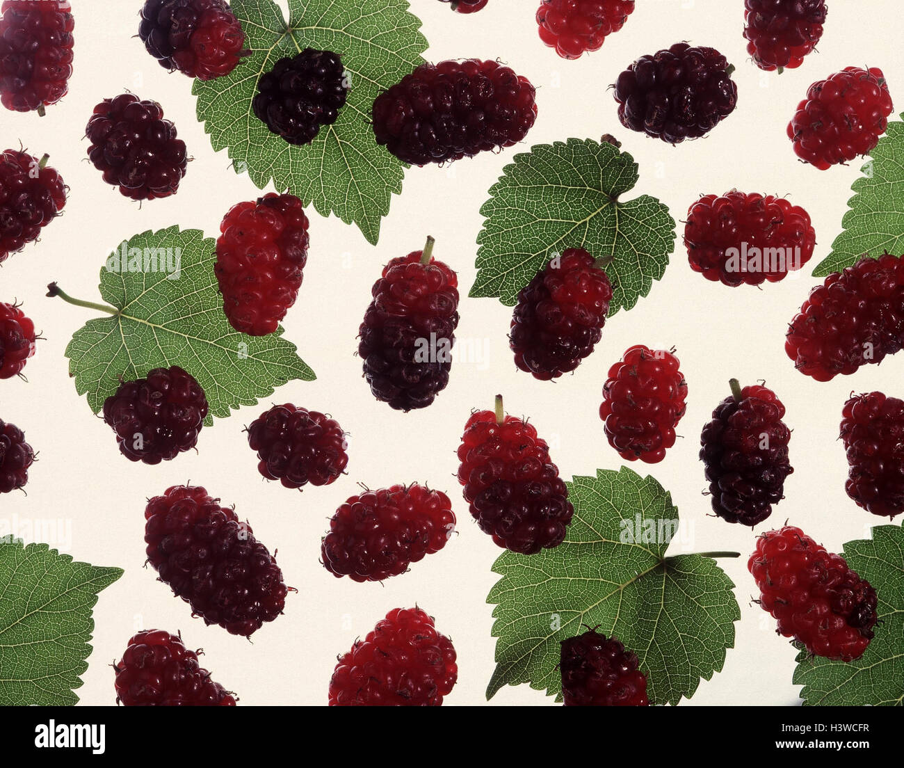 Mulberries, leaves fruits, fruit, berries, eatable, false berries ...