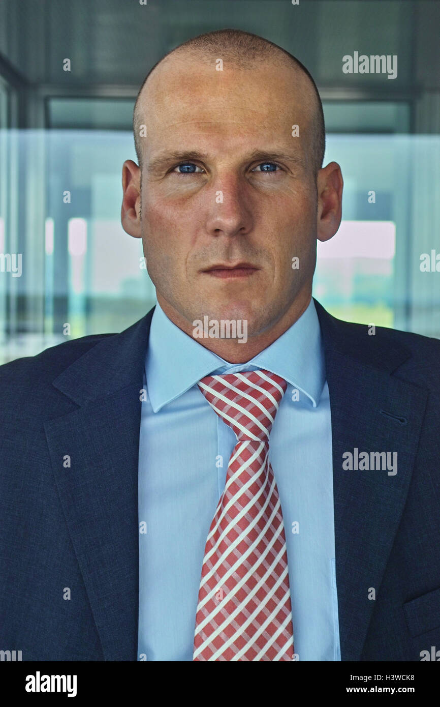 Businessman, bald head, seriously, portrait, man, 25 - 30 years, 30-40 ...