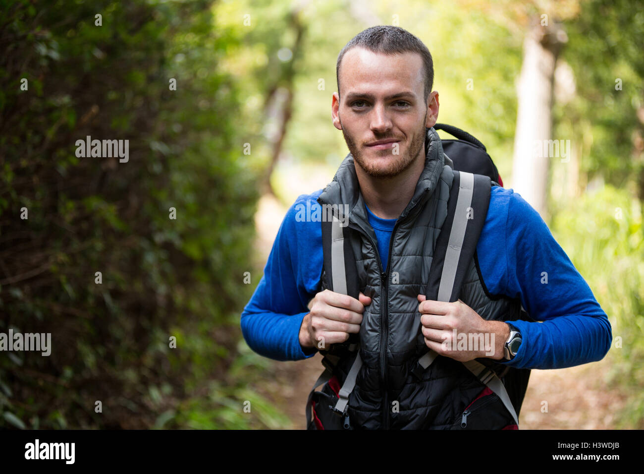 Male hiker in forest Stock Photo - Alamy