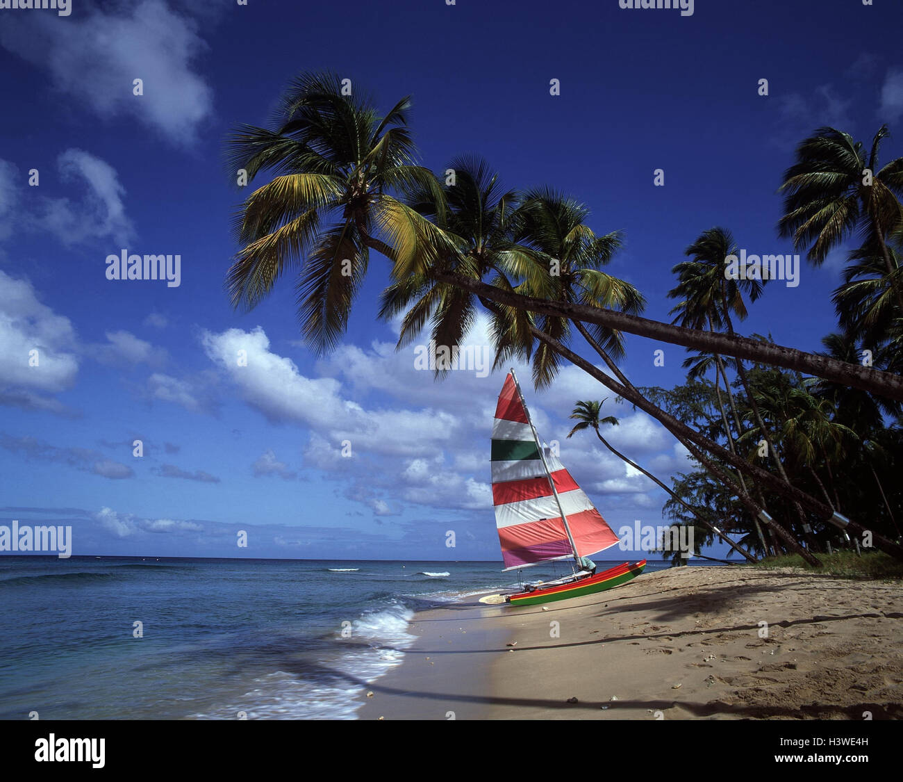 Barbados, west coast, Mullins Bay, palm beach, catamaran, beach, palms ...