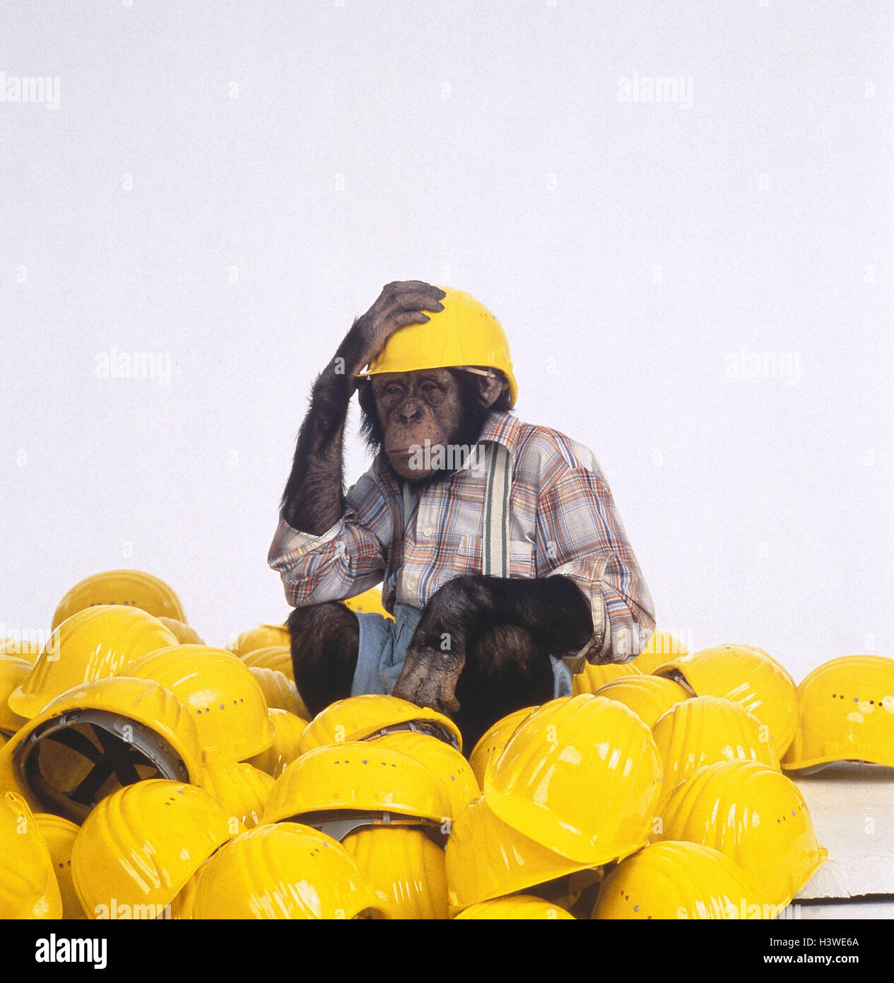 Humanisation hi-res stock photography and images - Alamy