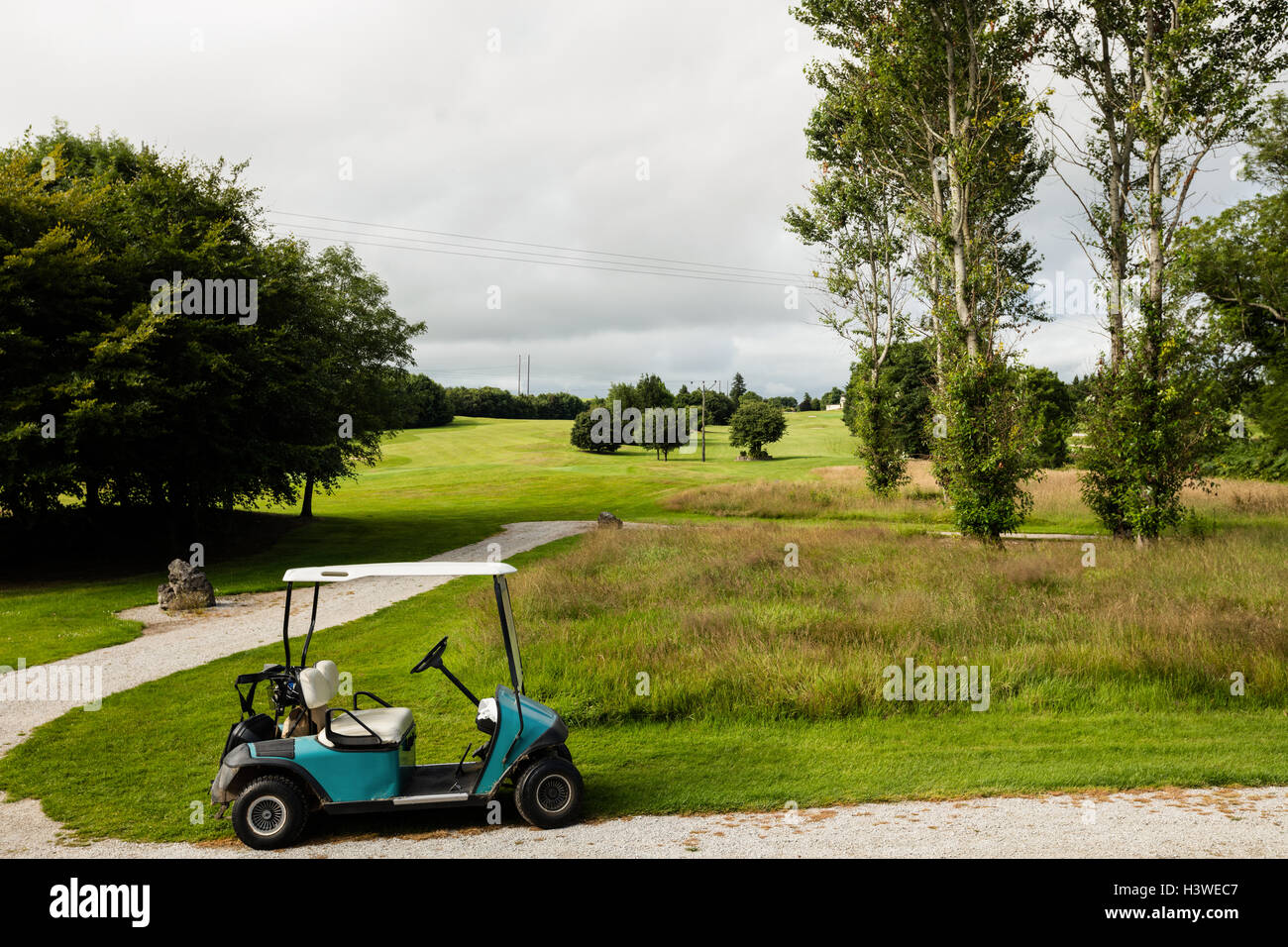 Golf cart in golf course Stock Photo - Alamy