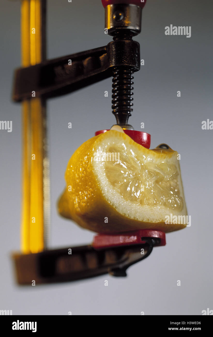 Vice, lemon, get caught, "grill like of a lemon" saying, squeeze, sound ...