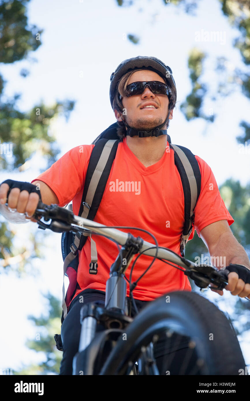 Male mountain biker riding bicycle in the forest Stock Photo - Alamy