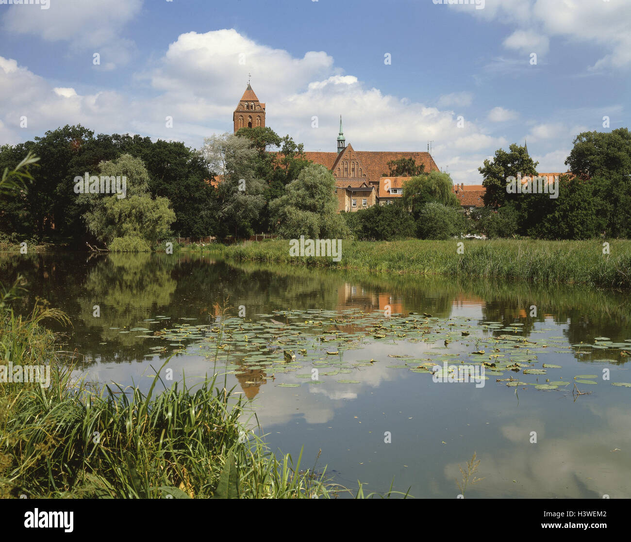 Cathedral gustrow germany hi-res stock photography and images - Alamy