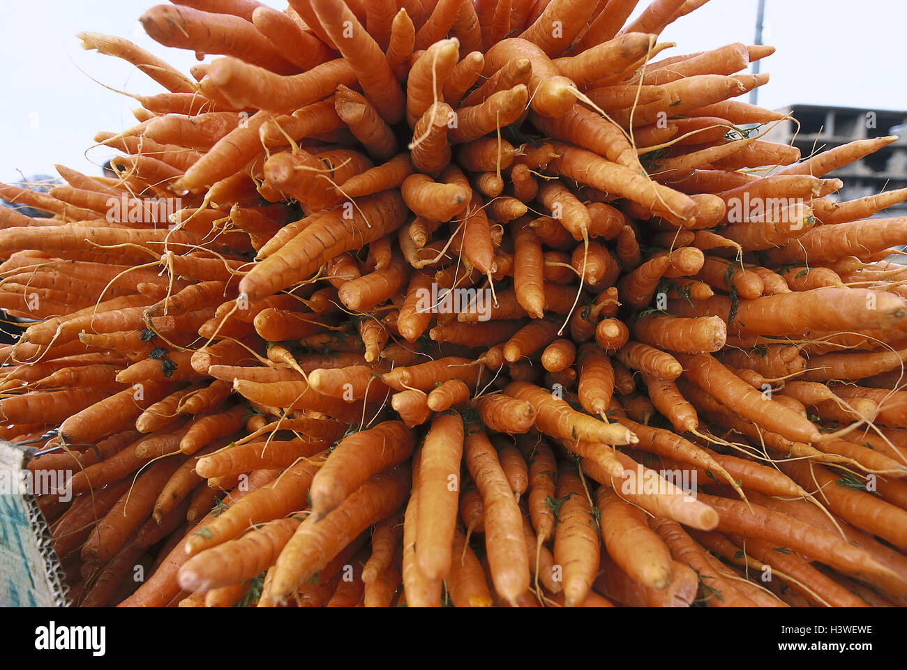 Lebanon, Tripoli, bazaar, sales, yellow turnips, the Middle East, front ...