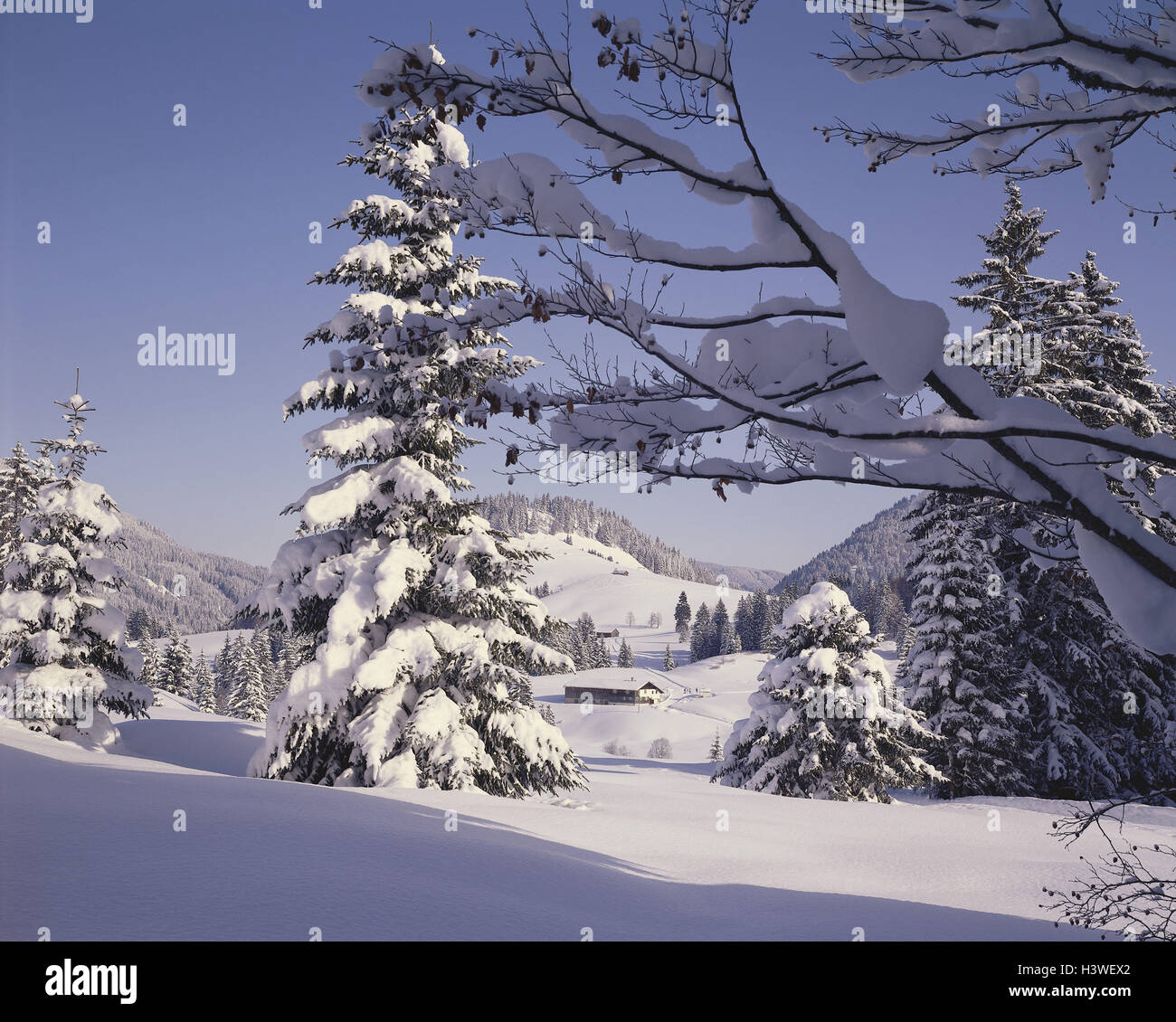 Winter scenery in the upper col hi-res stock photography and images - Alamy