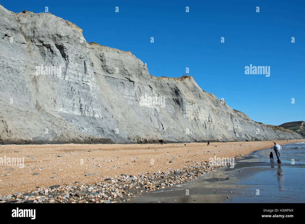 Seabed fossils hi-res stock photography and images - Alamy