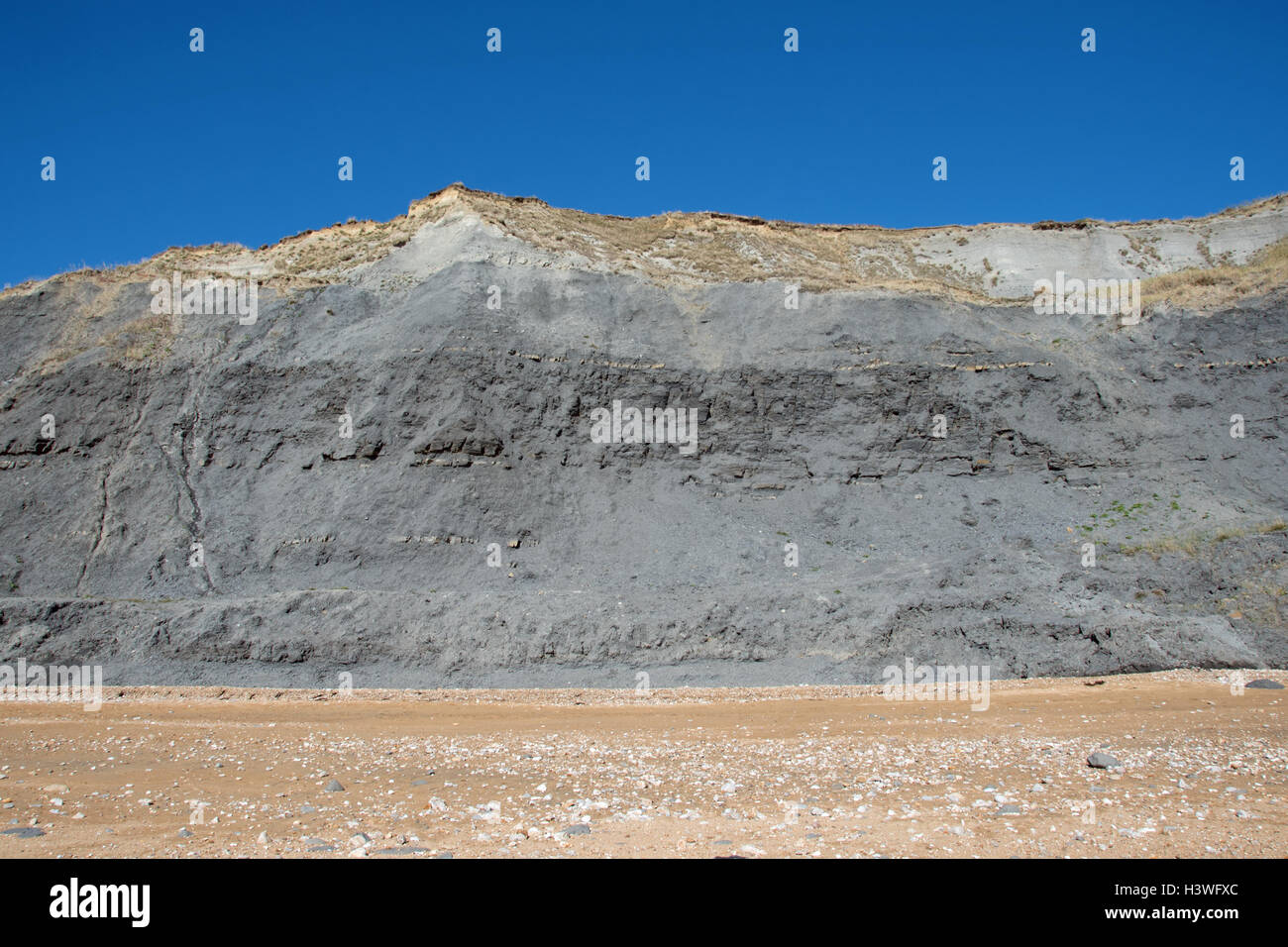 The superb, world renowned, fossil enriched cliffs and seashore at ...