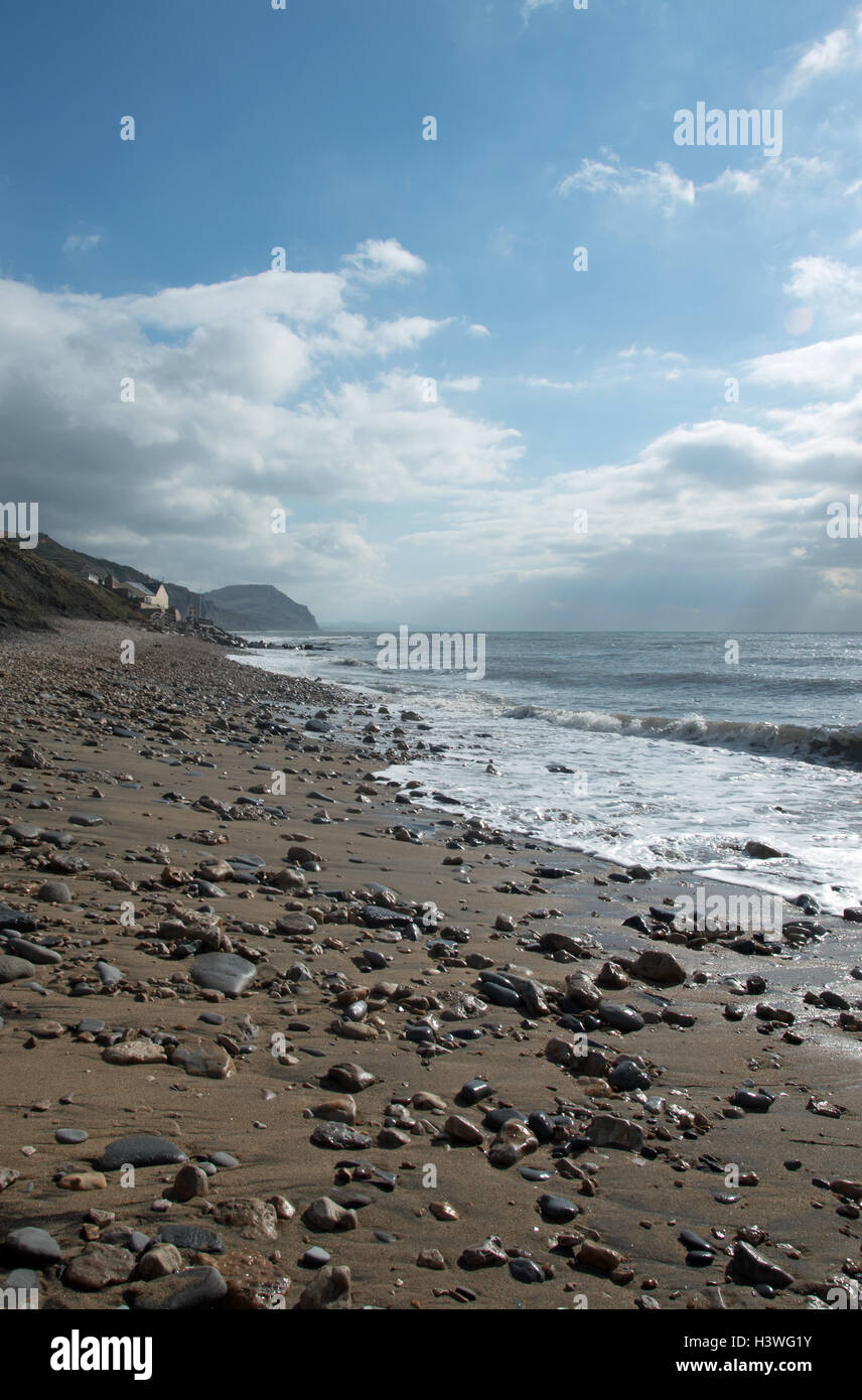 Seabed fossils hi-res stock photography and images - Alamy