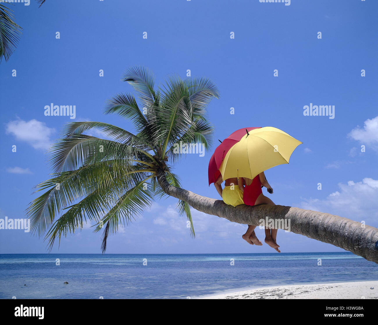 Sea, beach, couple, sit, palm strain, back view, vacation, dream ...