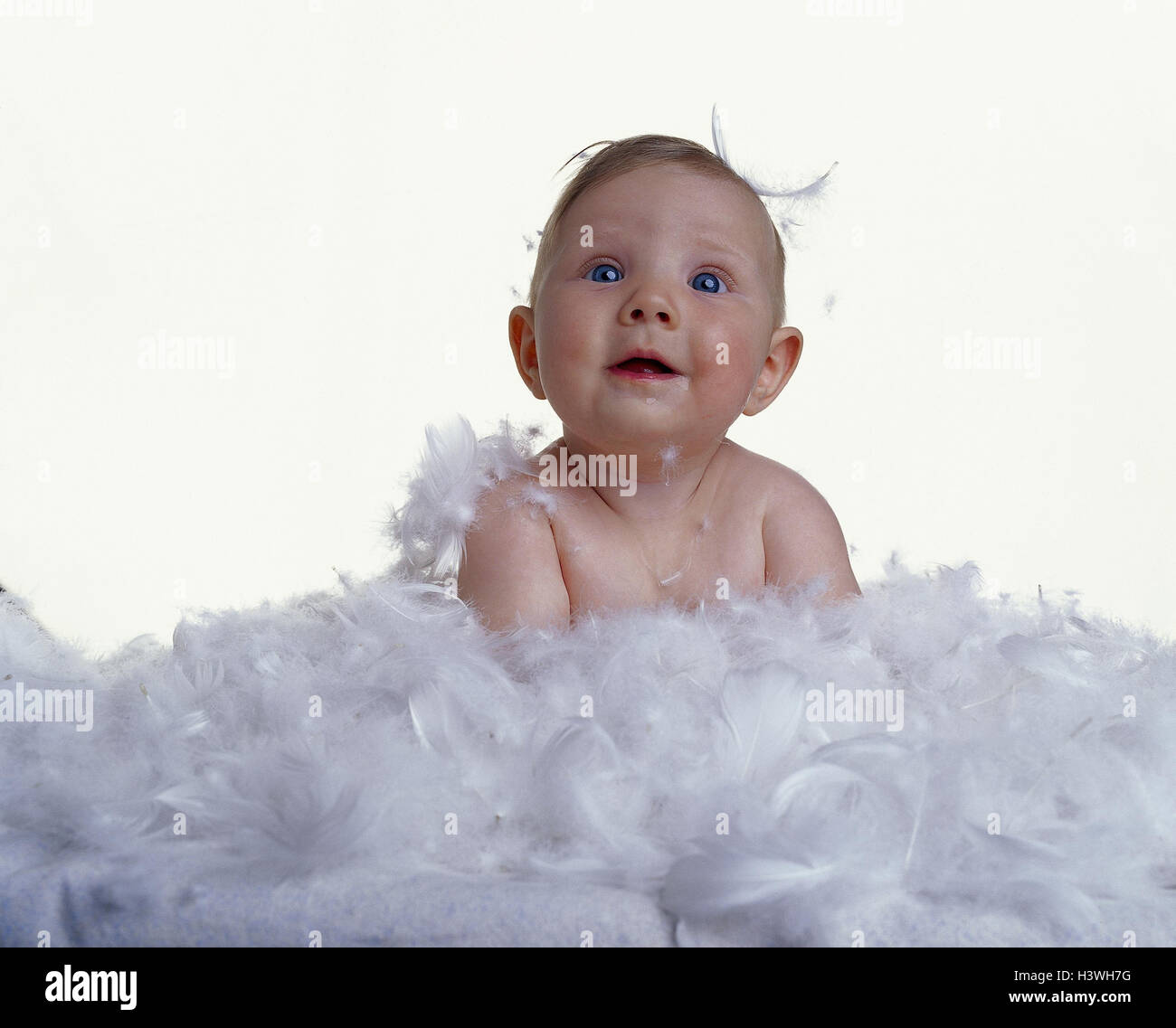 Baby down feathers hi-res stock photography and images - Alamy