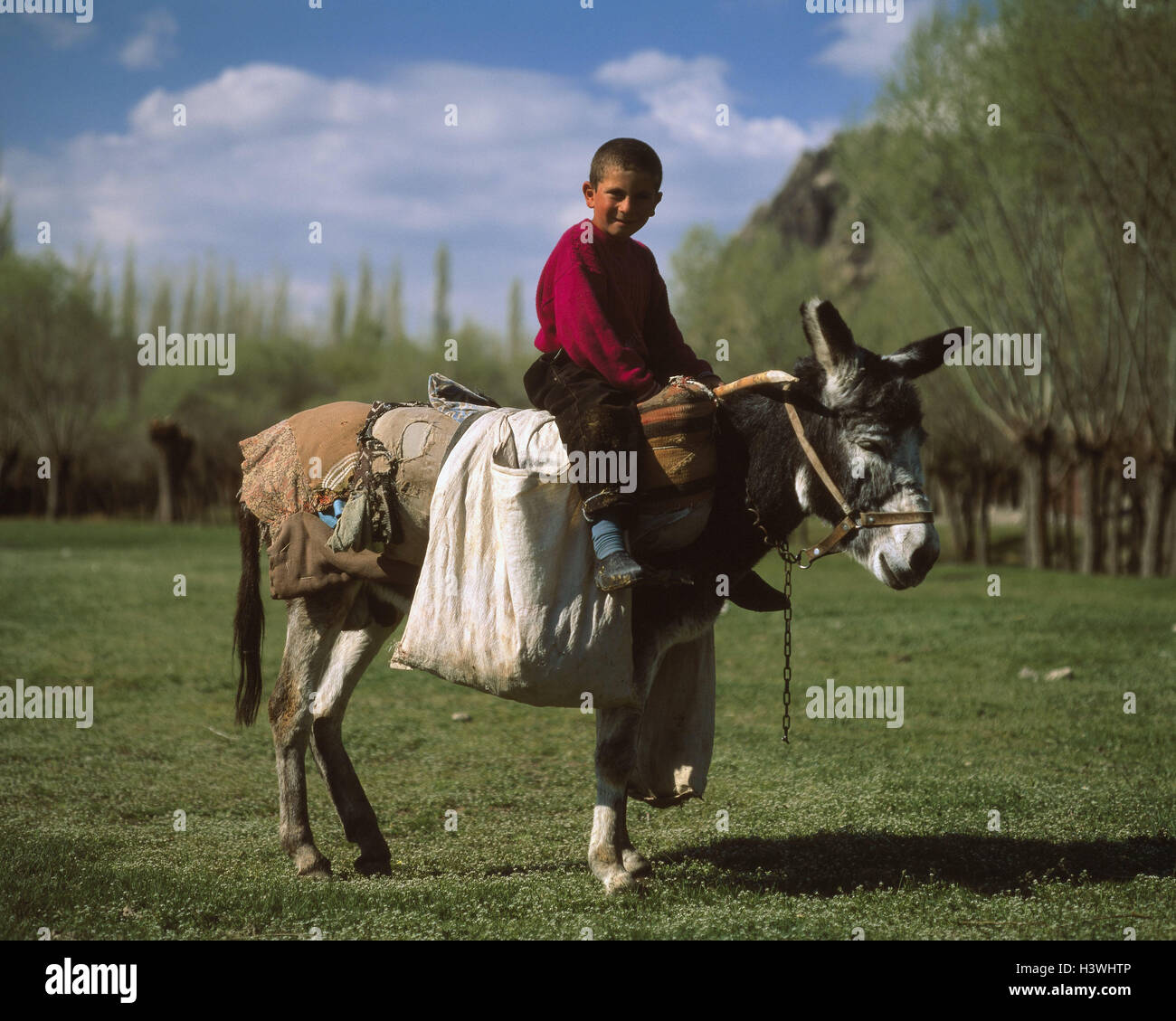 Turkey, Cappadocia, boy, donkey, the Middle East, front East, the Near ...