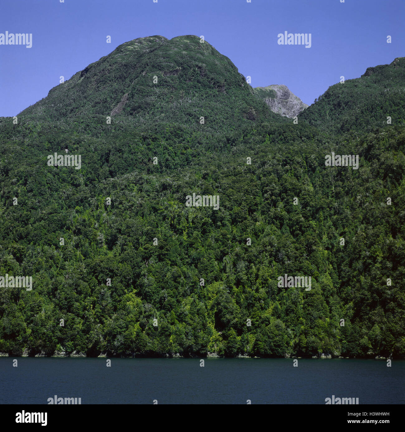 Chile, province to As sharp, fjord to As sharp, tropical vegetation ...