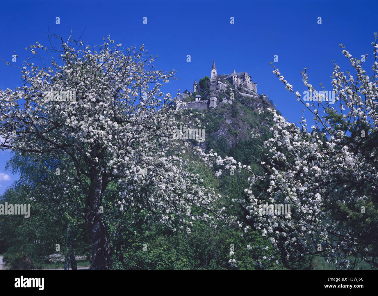 Austria, Carinthia, castle high Easter joke, blossoming fruit-trees ...