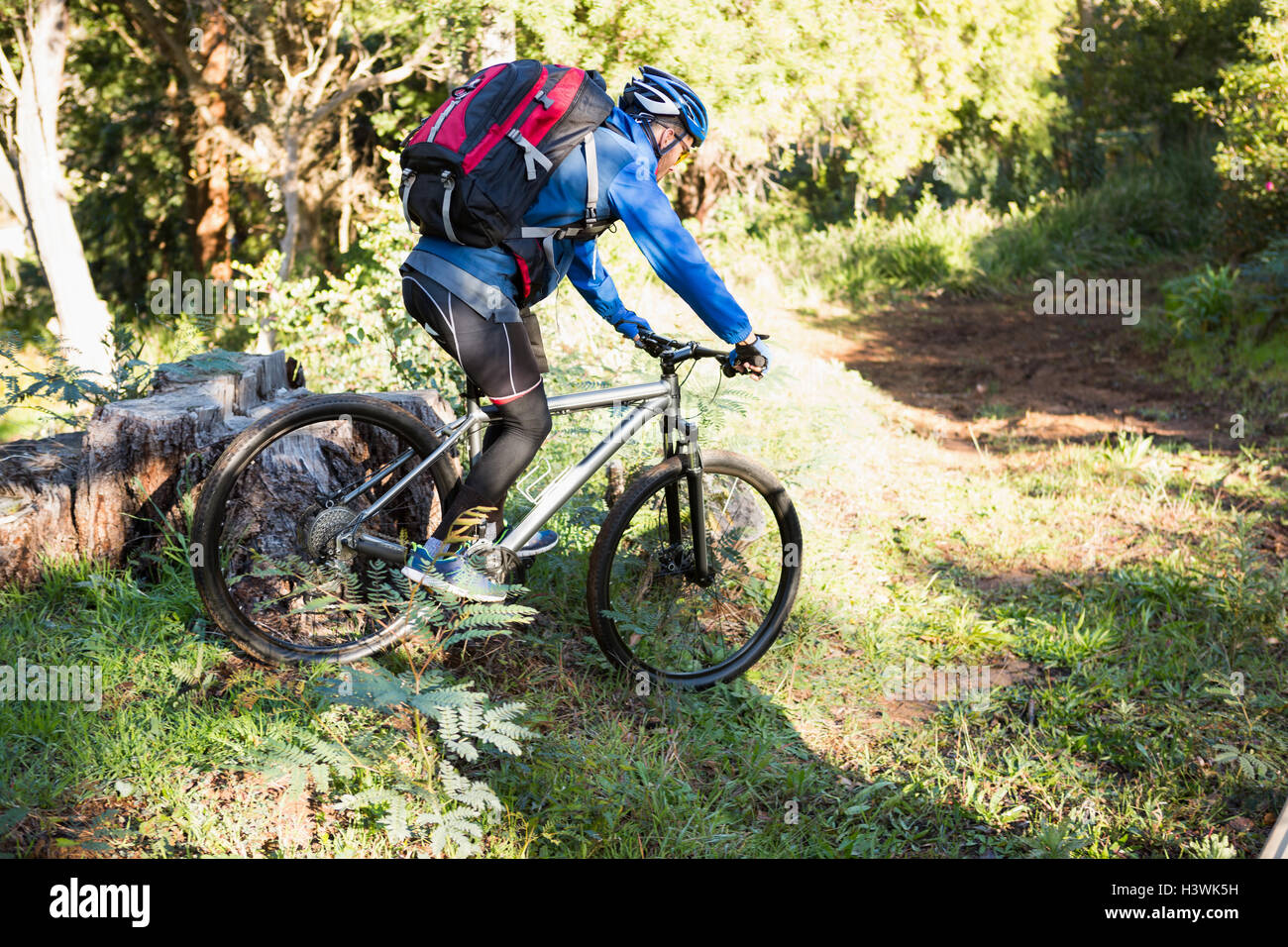 Male mountain biker riding bicycle in the forest Stock Photo - Alamy