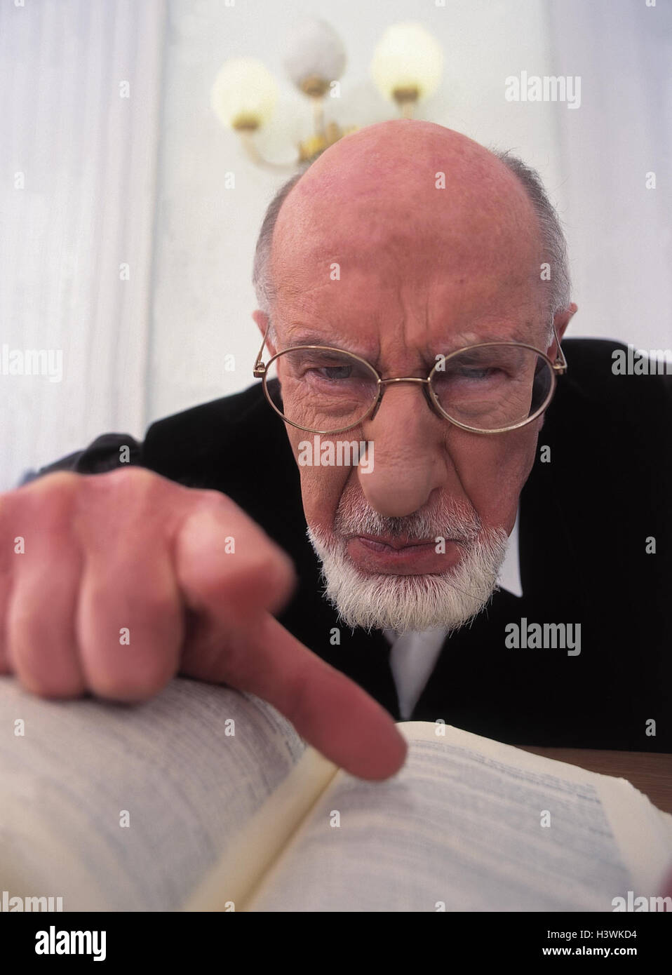 Dish, judge, accuse, infuriates, code law, portrait, courtroom ...