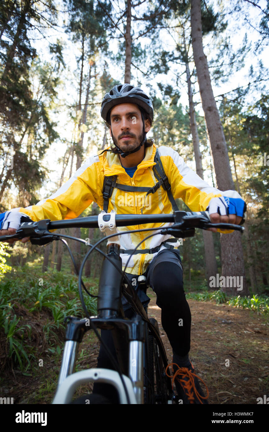 Male biker cycling in countryside Stock Photo - Alamy