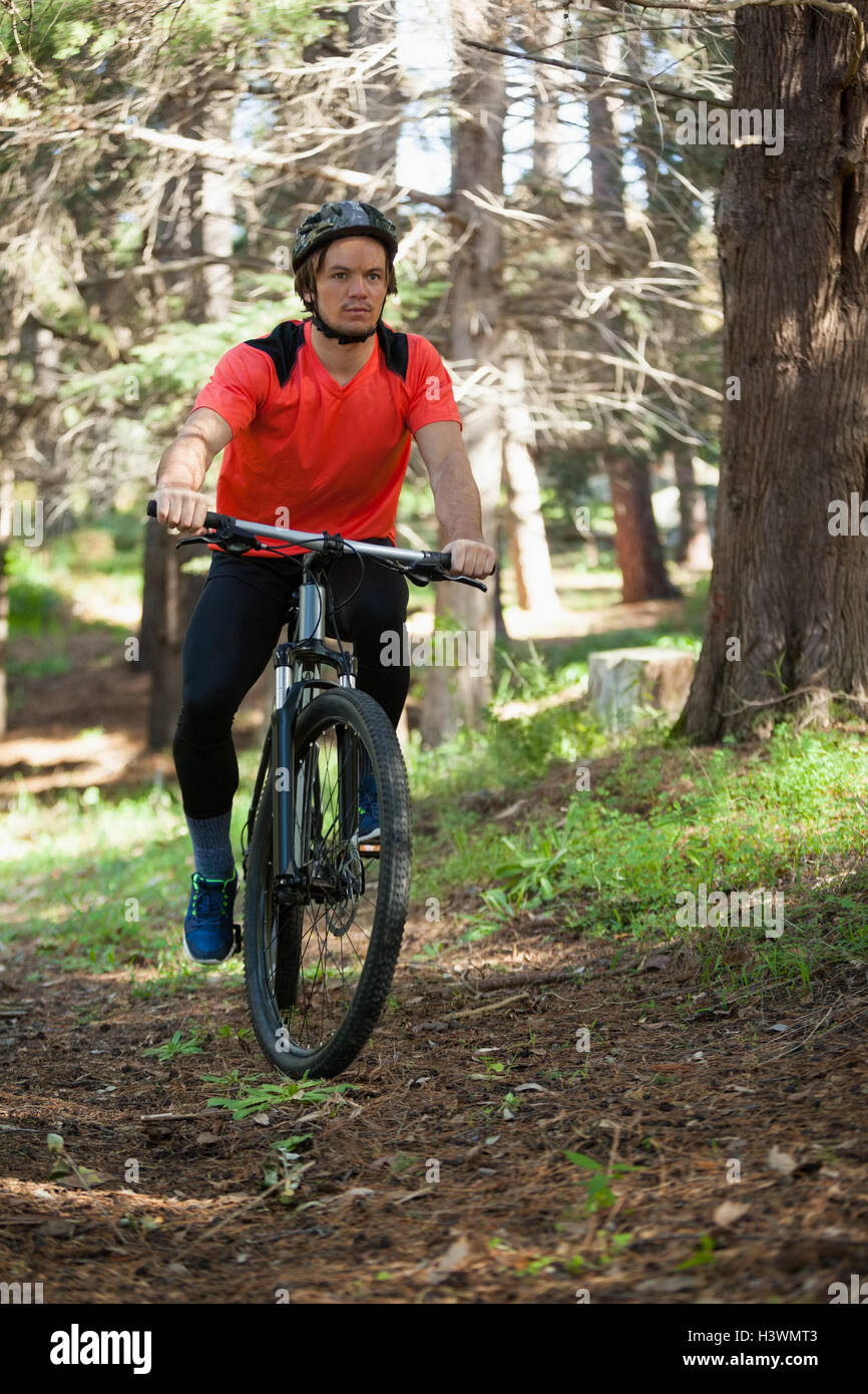 Male mountain biker riding bicycle in the forest Stock Photo - Alamy