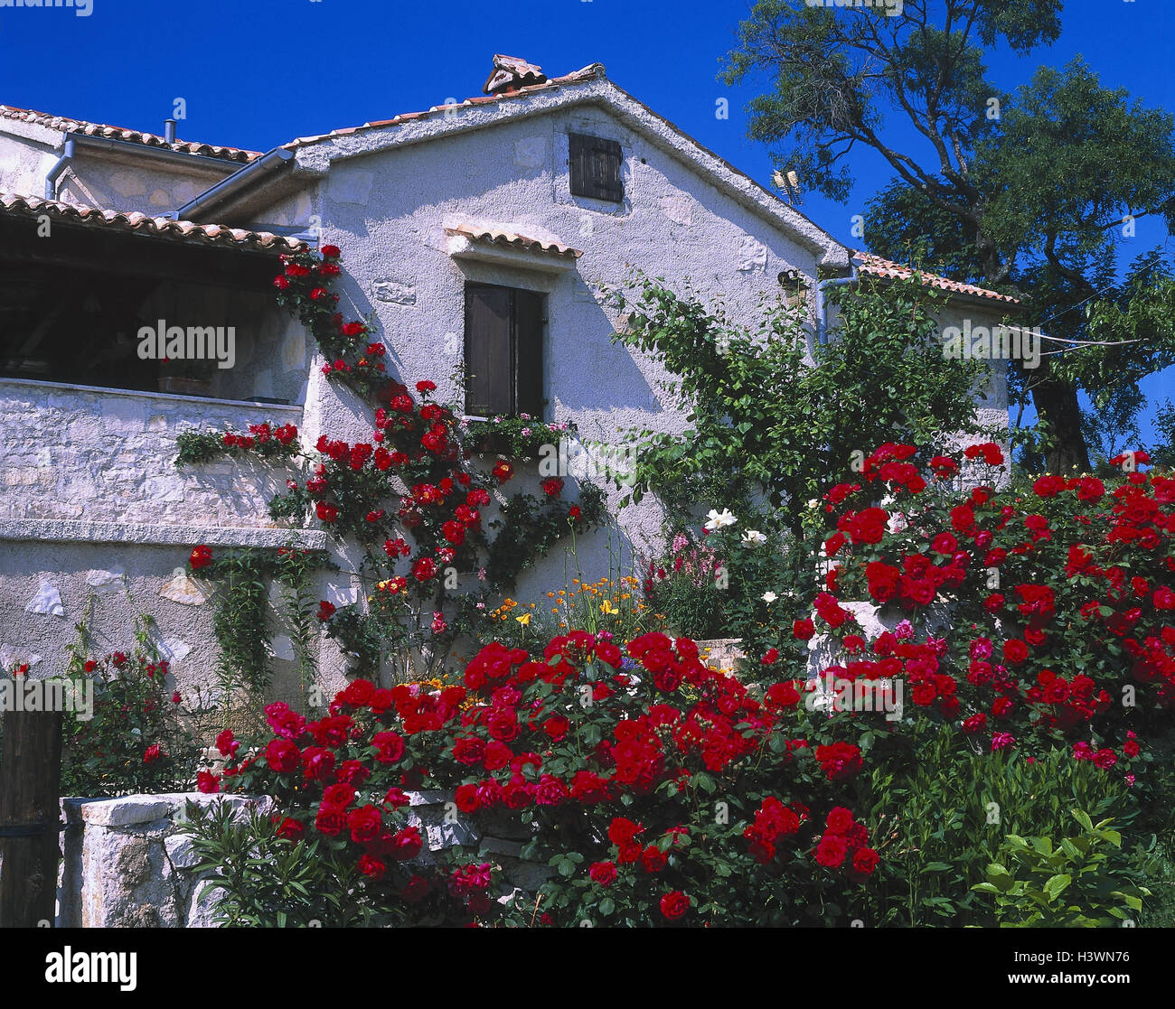 Croatia, farmhouse, close Dekani, outside, holiday resort, destination ...
