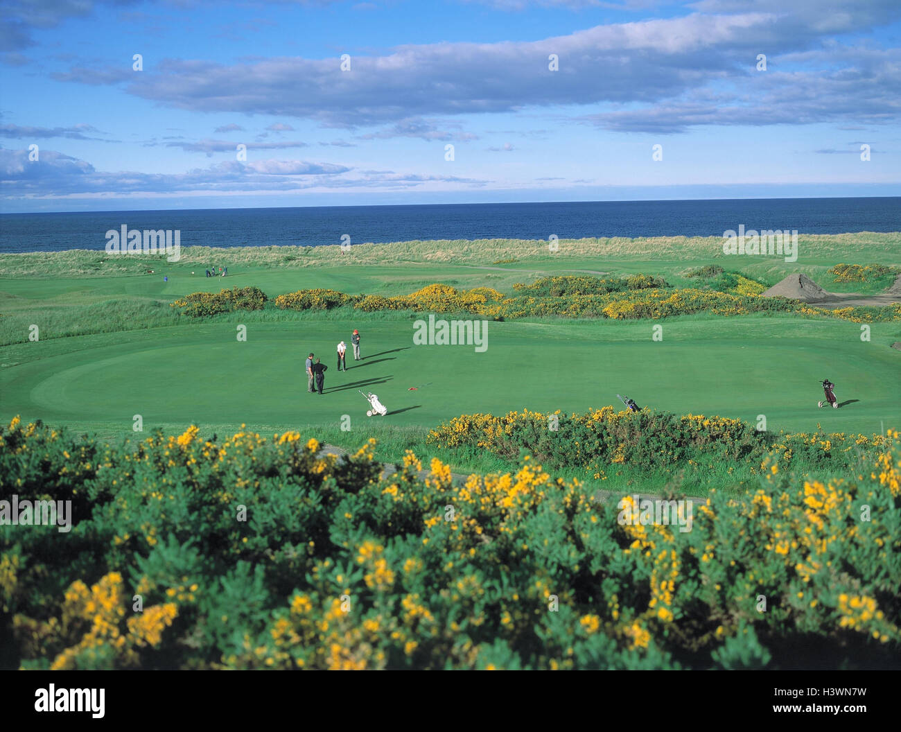 Great Britain, Scotland, Dornoch, royal Dornoch golf club, golf course ...