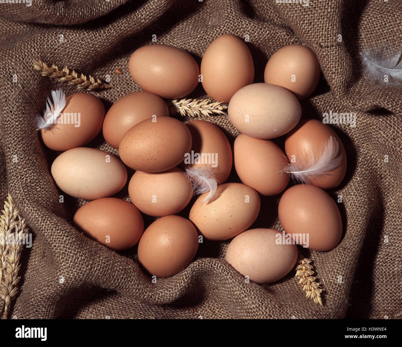Jute pouch, eggs, poultry feathers, grain ears egg, brown, Still life ...