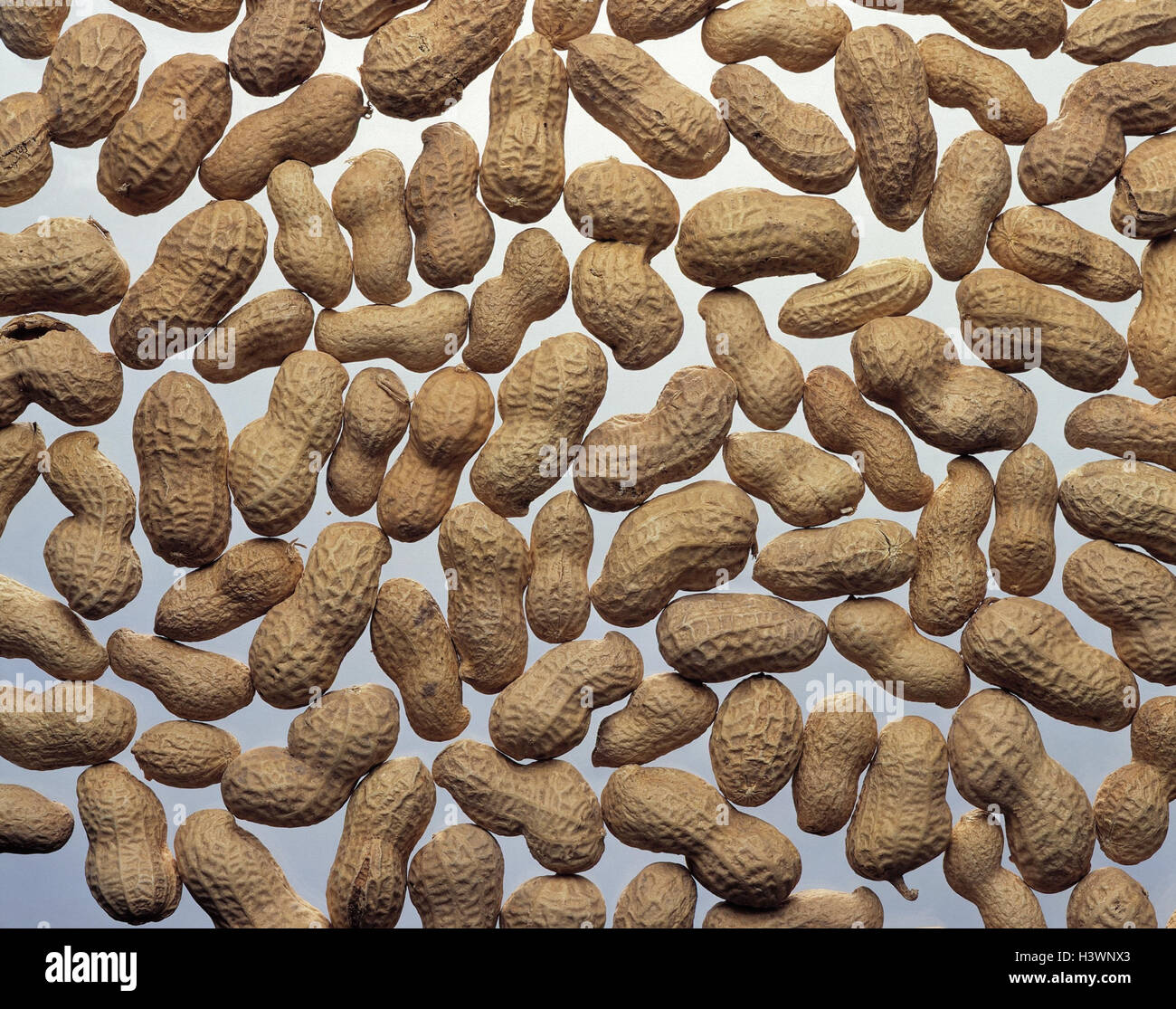 Peanuts cut out, peanut, peel, nut, nuts, Arachis hypogaea, semen ...