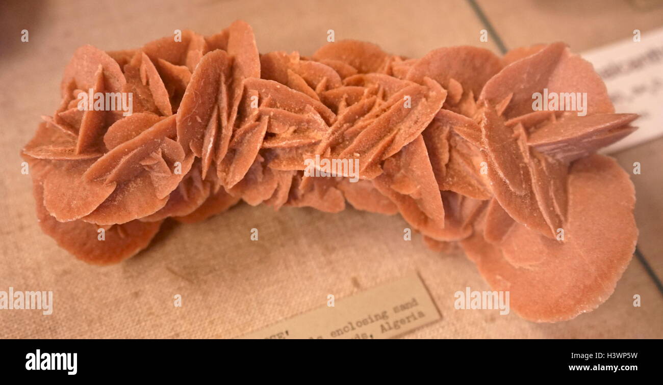 Example of Desert rose crystal, a formation of crystal clusters of ...