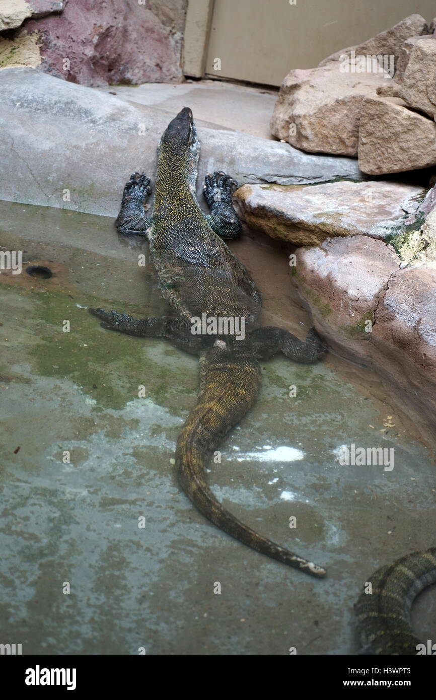 Archival large family hi-res stock photography and images - Alamy