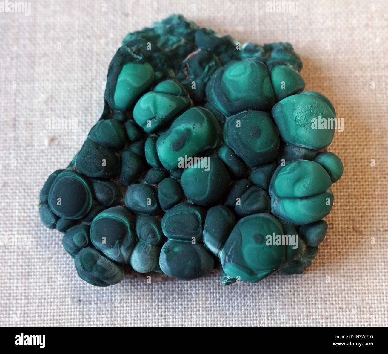 A sample of green botryoidal mass. Dated 21st Century Stock Photo - Alamy