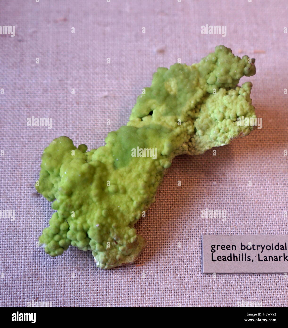 A sample of a bright green Botryoidal crystal. Dated 21st Century Stock ...