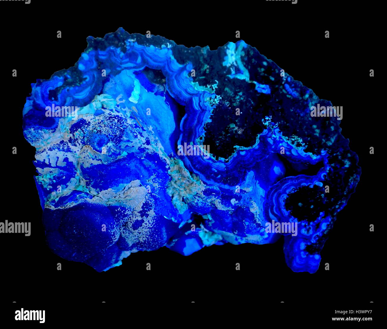 Mamillated hi-res stock photography and images - Alamy