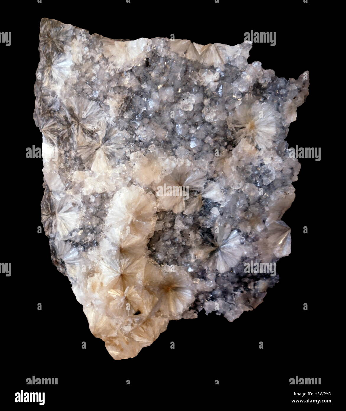 A sample of radiating mass of crystals on gneiss. Dated 20th Century ...