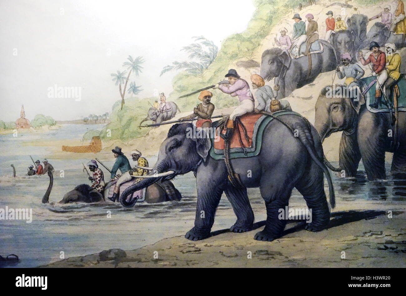 Genus Pongo High Resolution Stock Photography and Images - Alamy