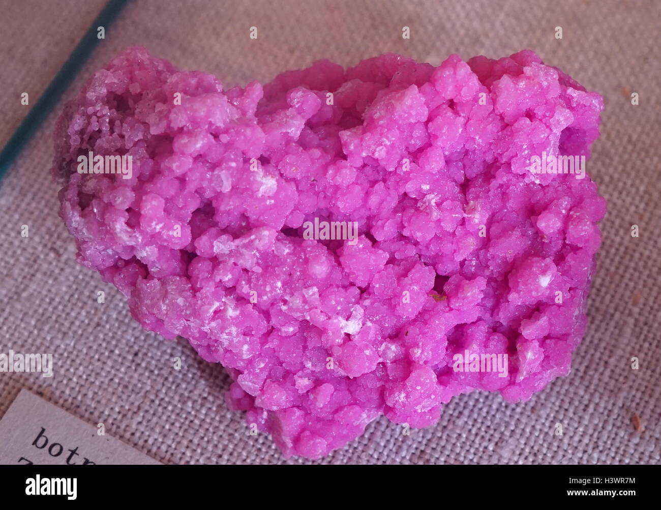 A sample of a bright pink Botryoidal crystal. Dated 21st Century Stock ...
