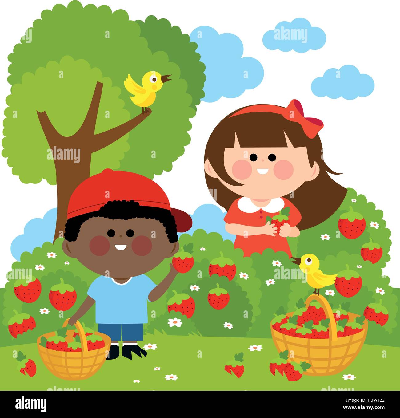 Strawberries farm summer Stock Vector Images - Alamy