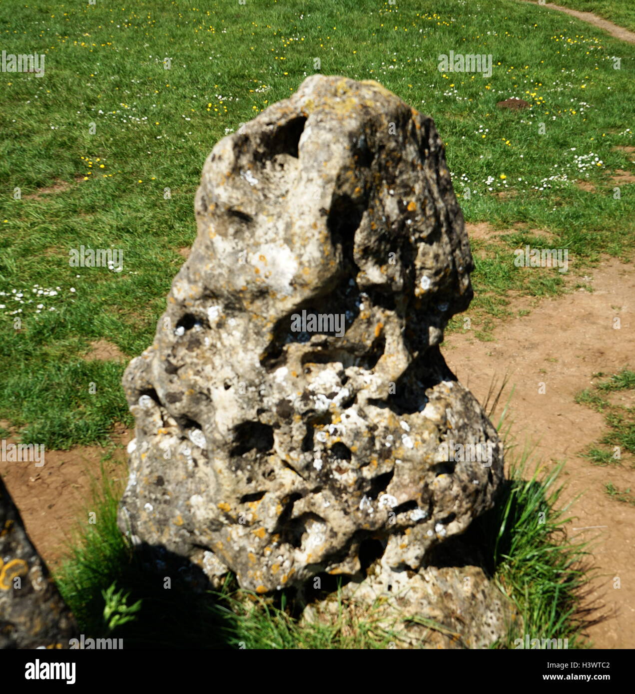 The King's Men Stone Circle which is part of the Rollright Stones, a ...