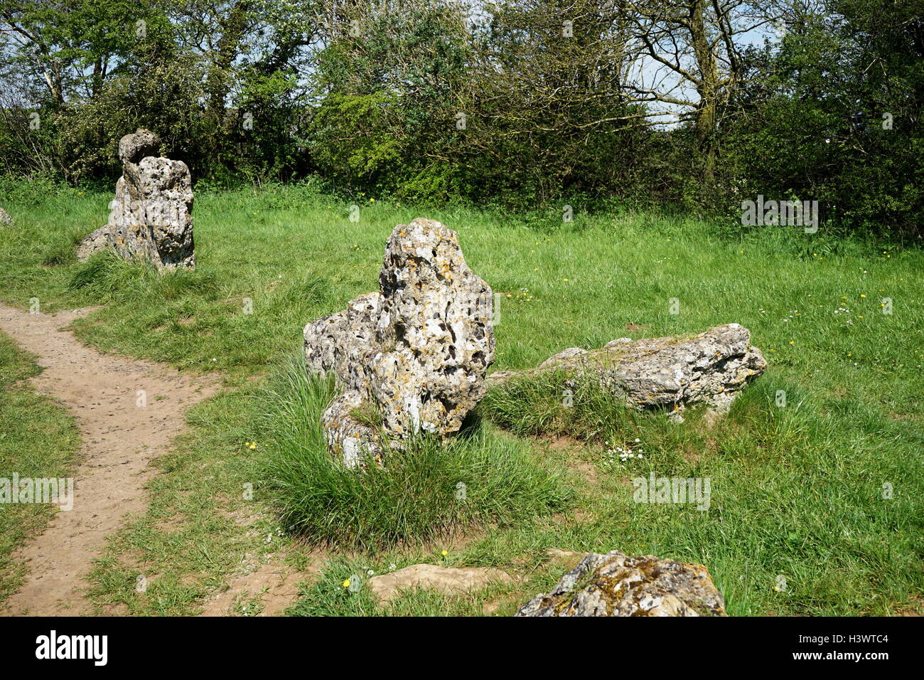 The King's Men Stone Circle which is part of the Rollright Stones, a ...