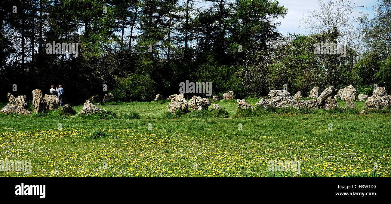 The King's Men Stone Circle which is part of the Rollright Stones, a ...